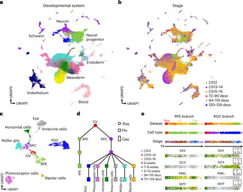 systemic data integration a umap of visualization of our dataset and