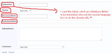 C Translate Dynamic Data Web Application Into Another