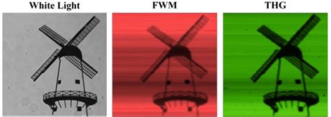 Mohsen Rahmani On Linkedin Aoplab