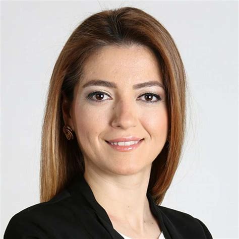 Sinan Oğan Eşi Kim Kiminle Evli Kimin Damadı Sinan Oğanın Kayınpederi Kim Yalova Haberleri