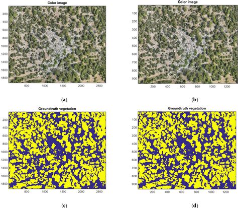 Figure 3 From Vegetation Detection Using Deep Learning And Conventional Methods Semantic Scholar