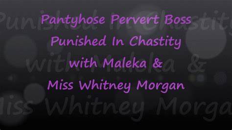 Maleka Whitney Pantyhose Perving Bosschastity Punishment Better In Pairs Clips4sale