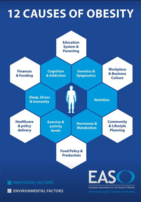 Obesity Multifactorial Disorder Rmounjaro