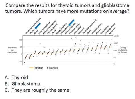 Week 8 Clicker Questions Flashcards Quizlet