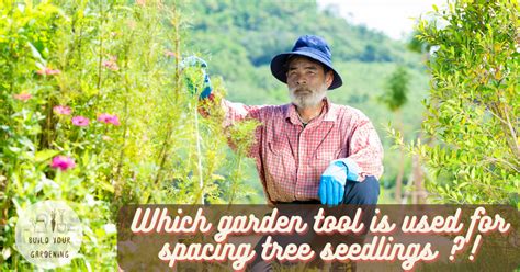 Get Your Garden Growing Which Garden Tool Is Used For Spacing Tree Seedlings Build Your