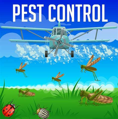 Premium Vector Locust Grasshopper Colorado Beetle Pest Control