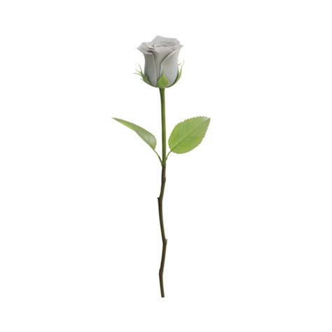 Rose Stem Premium 3d Model
