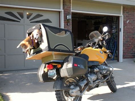 Motorcycle Dog Carrier For Sharing The Ride With Your Big Dog Artofit