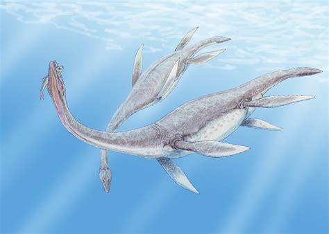 Plesiosaurier