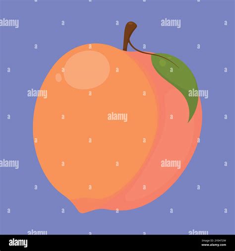 Fresh Peach Fruit Vector Peach Fruit Icon Fresh Juicy Peach Icon