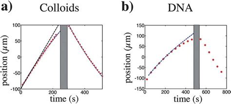 Time Evolution Of The Particles Population For A Fluorescent Colloids