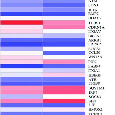 clustering diagram of important differentially expressed genes red