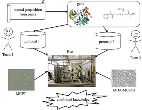 Replication Crisis Wikipedia