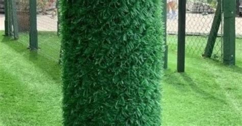 დეკორატიული ღობე როლი ღობე