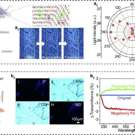 A 1 Schematic Figure For Measuring Polarization P Direction Download Scientific Diagram