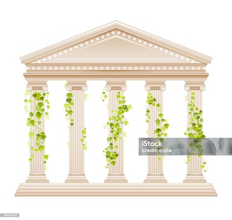 벡터 아이비 열입니다 녹색 담쟁이 잎으로 설정 그리스 대리석 건축 기둥 골동품 기둥에 등반 포도 나무 식물 그림 고대 로마 그리스 디자인 수채화 장식 결혼식 등 0명에 대한