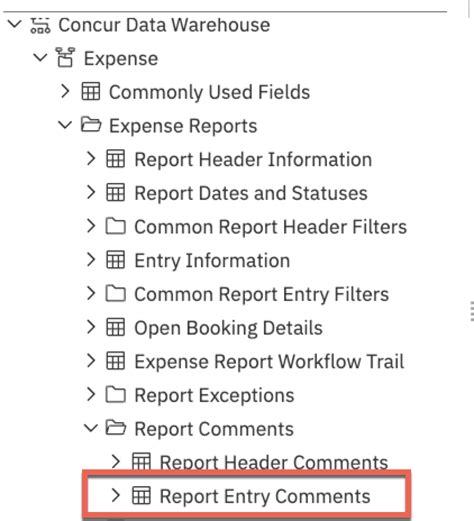 Report Customisation Sap Concur Community