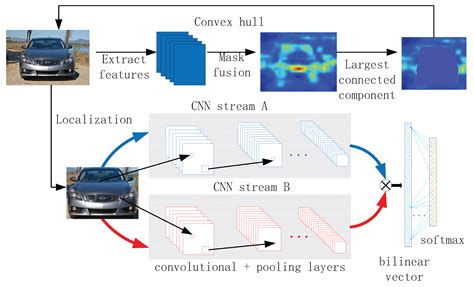 Fine Grained Image Classification Using Bilinear Accurate Fine Grained