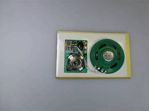 Sound Module With Push Button MTE MotionTech Engineering