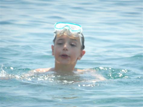 Dscn0996 Bart Maertens Flickr