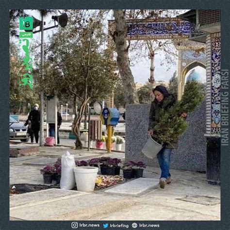 Farshad Ebrahimi On Tumblr