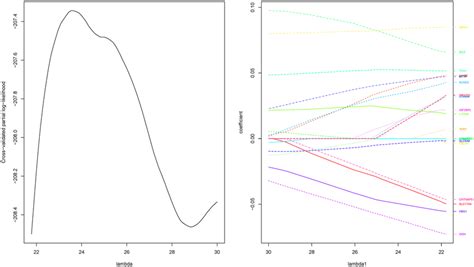 Selecting The Optimal Adjustment Parameter By Cross Validation Left