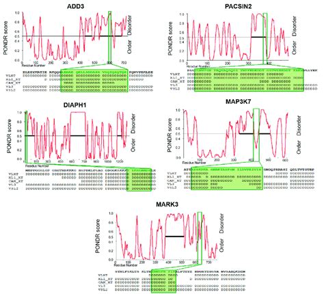 Prediction Of Intrinsically Disordered Regions Idrs In The Validated Download Scientific