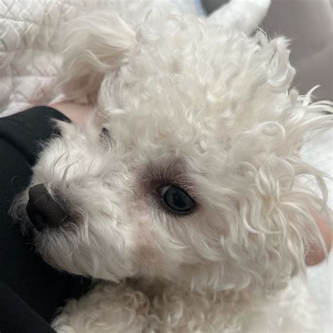 누나 나 팔베개 해쥬라 포동 커뮤니티