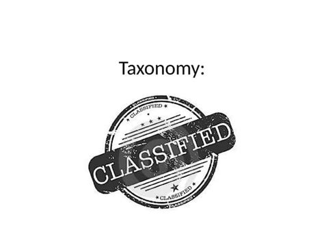Taxonomy Classification Ppt1 Taxonomia E Classificaçãoppt