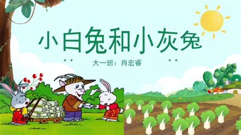 故事小白兔和小灰兔腾讯视频