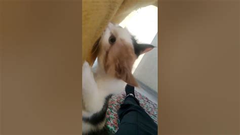 Клепа - YouTube