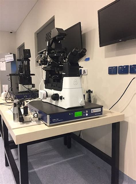 Dvia T Tabletop Active Vibration Isolation Platform Products Daeil