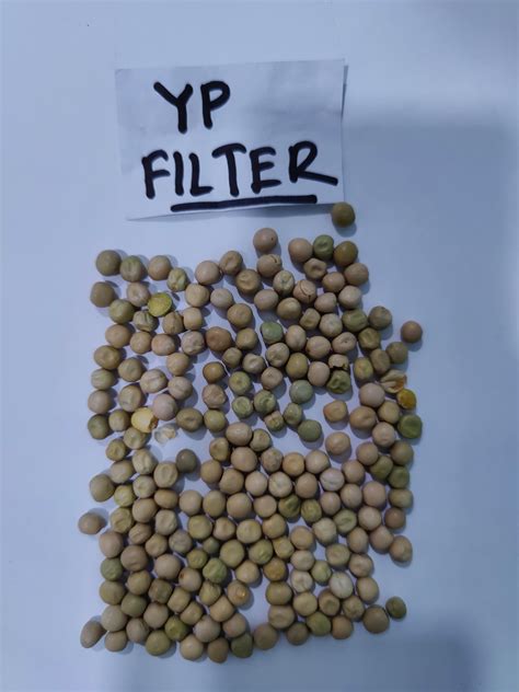 Gaindetectioninstancesegmentation Instance Segmentation Dataset By Ljiet