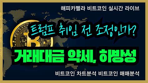 비트코인 실시간 거래대금약세 하방성 트럼프 취임 전 조정인가 1230 점심💎비트코인 비트코인실시간 이더리움 리플 Cryptocurrency 차트분석