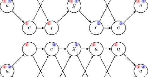 Research Genome Scale Algorithmics University Of Helsinki