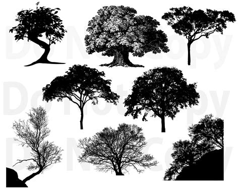 Trees SVG Bundle Oak Tree Svg File For Cricut Bonsai Etsy