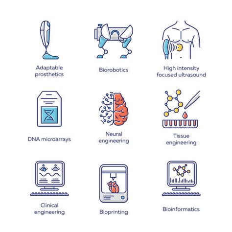 Bioinformatics Illustrations Royalty Free Vector Graphics And Clip Art