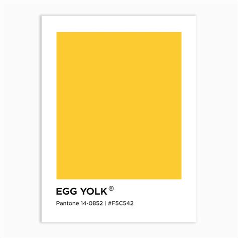 Egg Yolk Pantone Food Eggs Omelette Mood Vibes Decor Modern Colorful Pantone Swatch