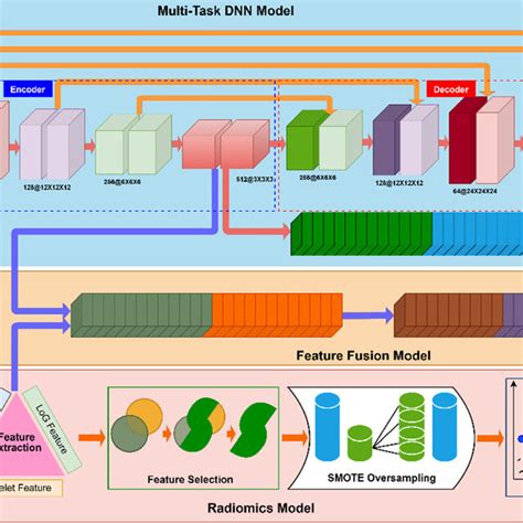 The Workflows Of The Proposed Dnn Model Radiomics Model And Feature Download Scientific