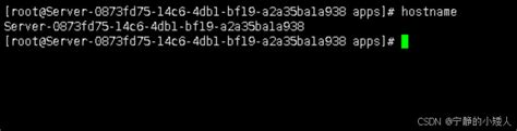 信创环境linux服务器启动jar包很慢 linux启动jar包慢 csdn博客