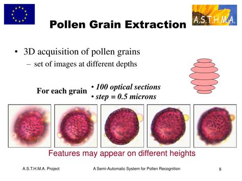 Ppt A Semi Automatic System For Pollen Recognition Powerpoint