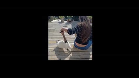 Pablo Has A Girlfriend Now By County1006 On Deviantart