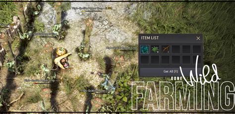 Bdo Farming Guide Black Desert Online Grumpyg