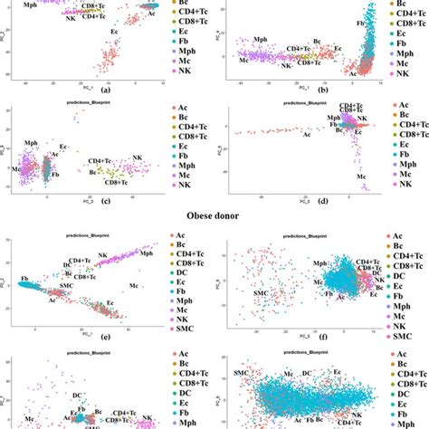 Singler Automatic Cell Type Annotation Blueprint Db Pca Plots Lean Download Scientific