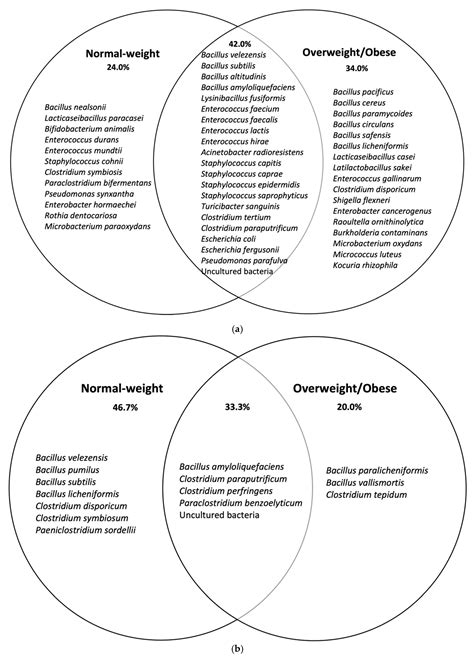 Dna Vs Rna Venn Diagram