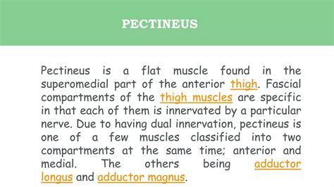 Angular Kinematics Ppt
