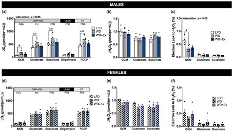 Physiological Reports Vol 10 No 24
