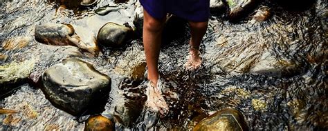 Navigating Uncertainty Turner Group