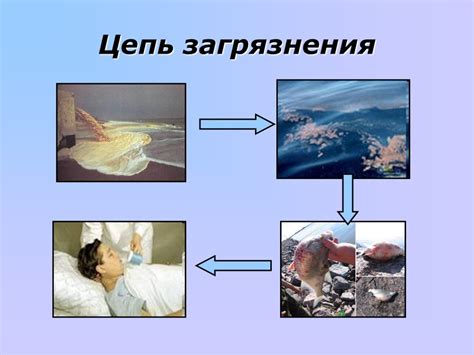 Проект экологическая безопасность 3 класс окружающий мир