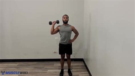 Musclewiki Simplify Your Workout
